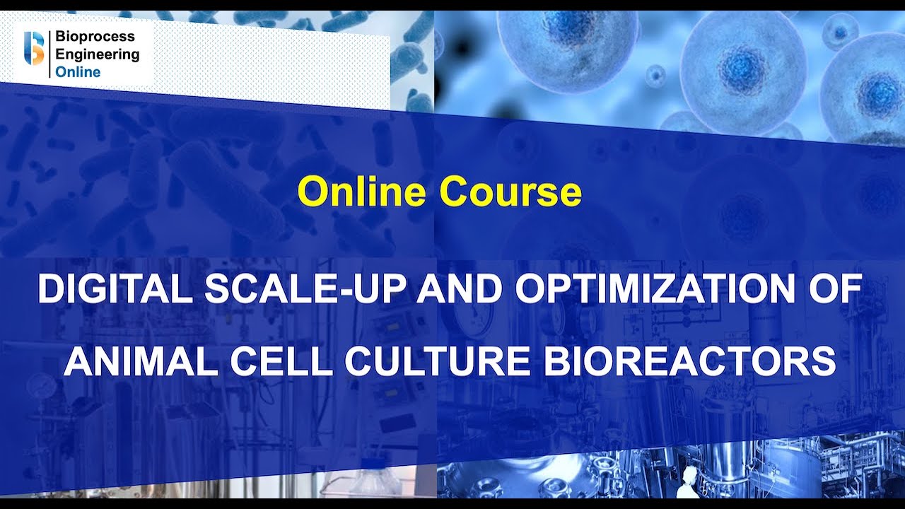 Online course Digital scale-up and optimization of animal cell culture ...