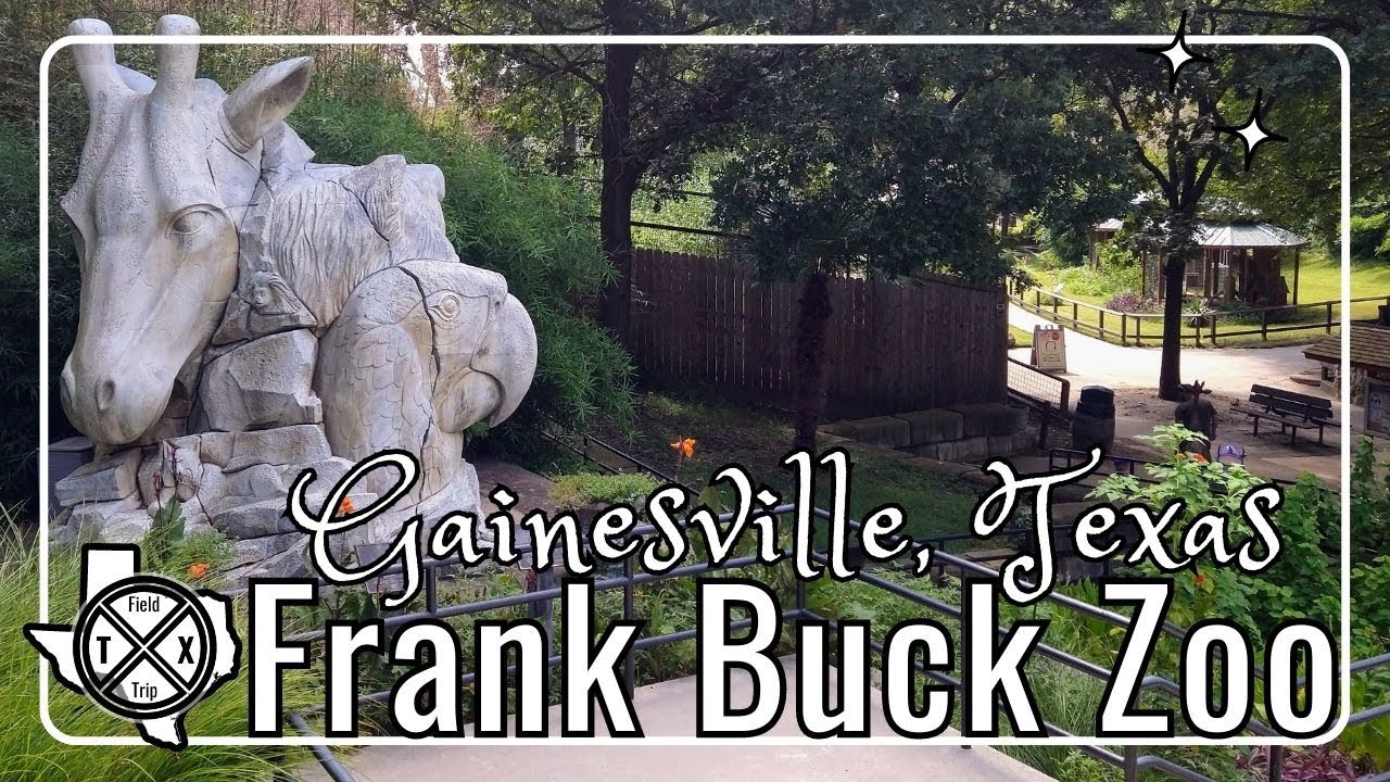 Frank Buck Zoo | Gainesville, Texas | Escape to the Wild at a Charming ...