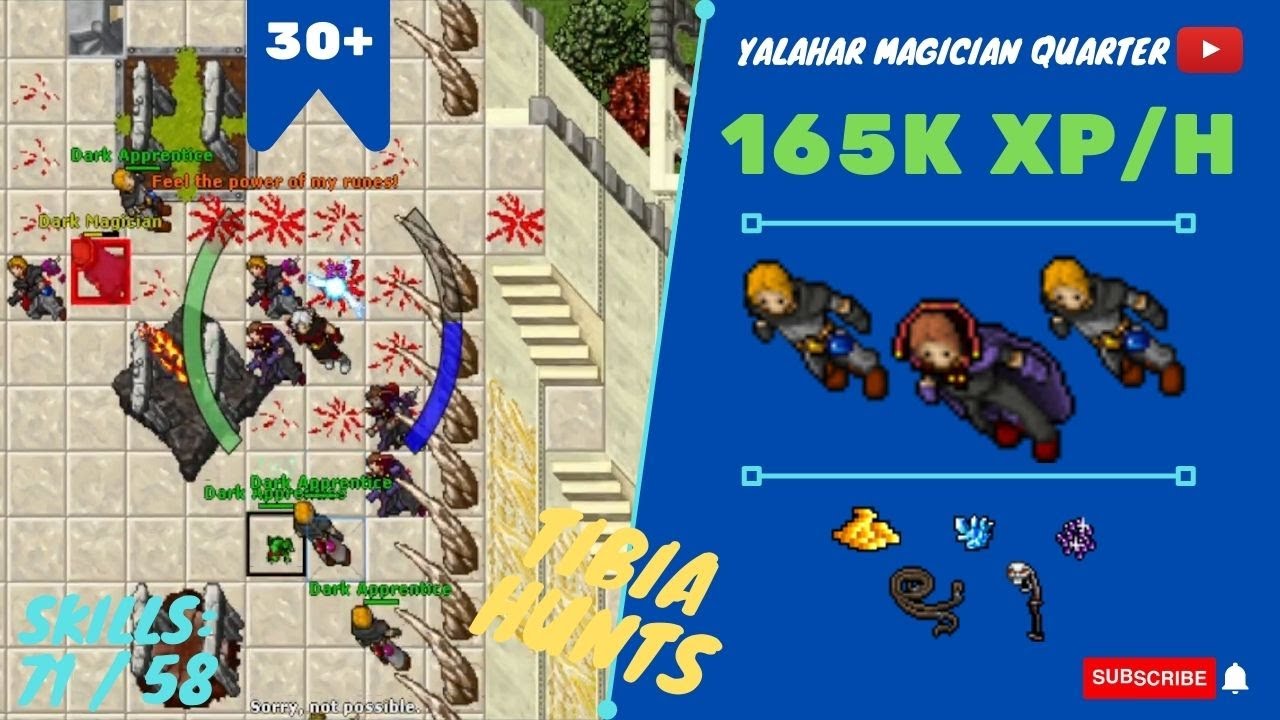 RP SOLO LVL 30+ 165K XP/H - SKILLS 71/58 - Yalahar Magician Quarter - TIBIA HUNT - YouTube