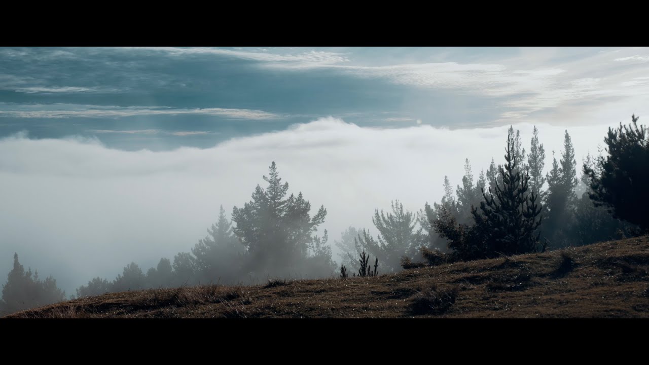 Gretchen Rhodes - Sisters Forever (Official Video) - YouTube