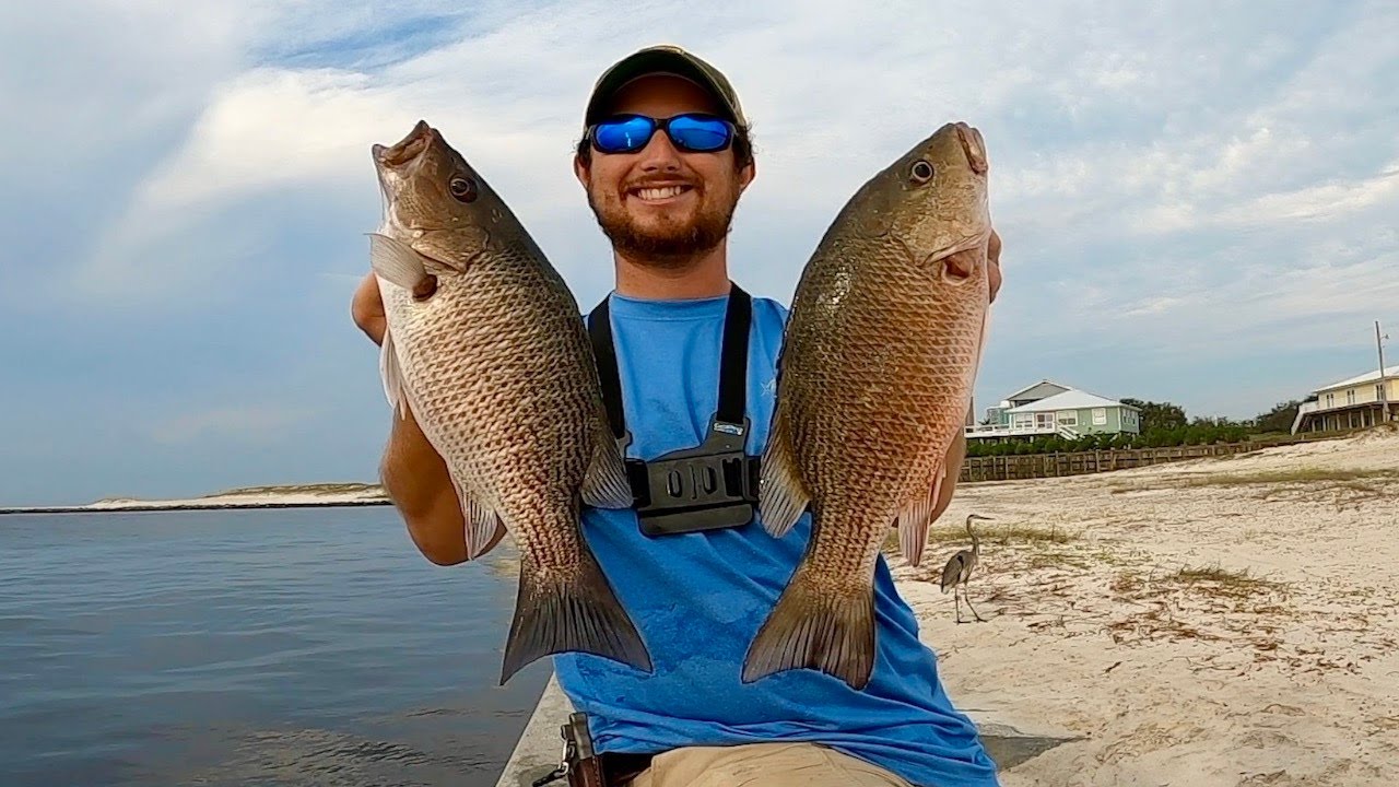 Garlic Butter, Grilled MANGROVE SNAPPER! Catch, Clean, and Cook - YouTube