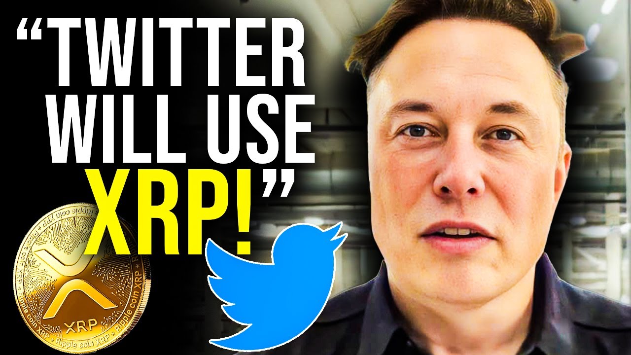 XRP To Be Used For All Payments On Twitter? - Elon Musk Reveals - YouTube