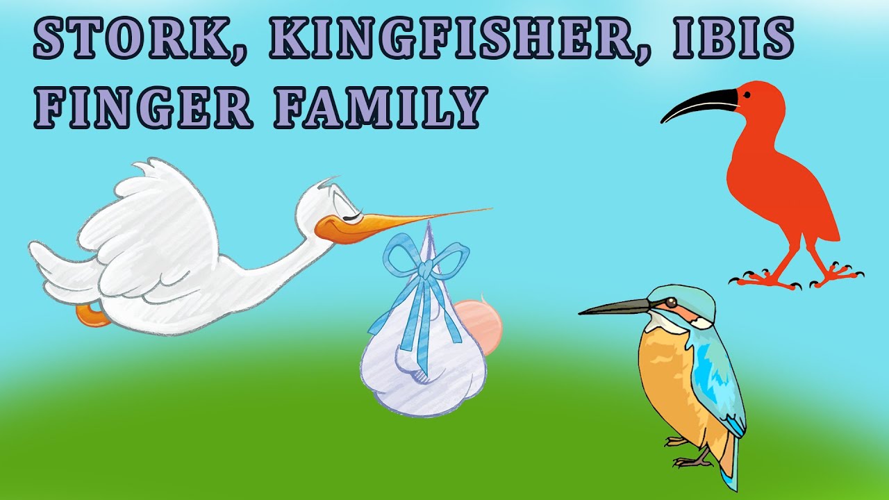 Stork | Animal Finger Family - YouTube