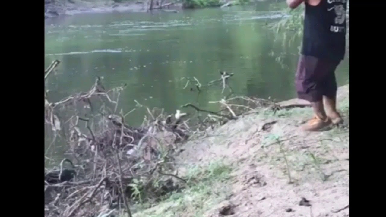 BLUE CATFISH IN TRINITY RIVER - YouTube