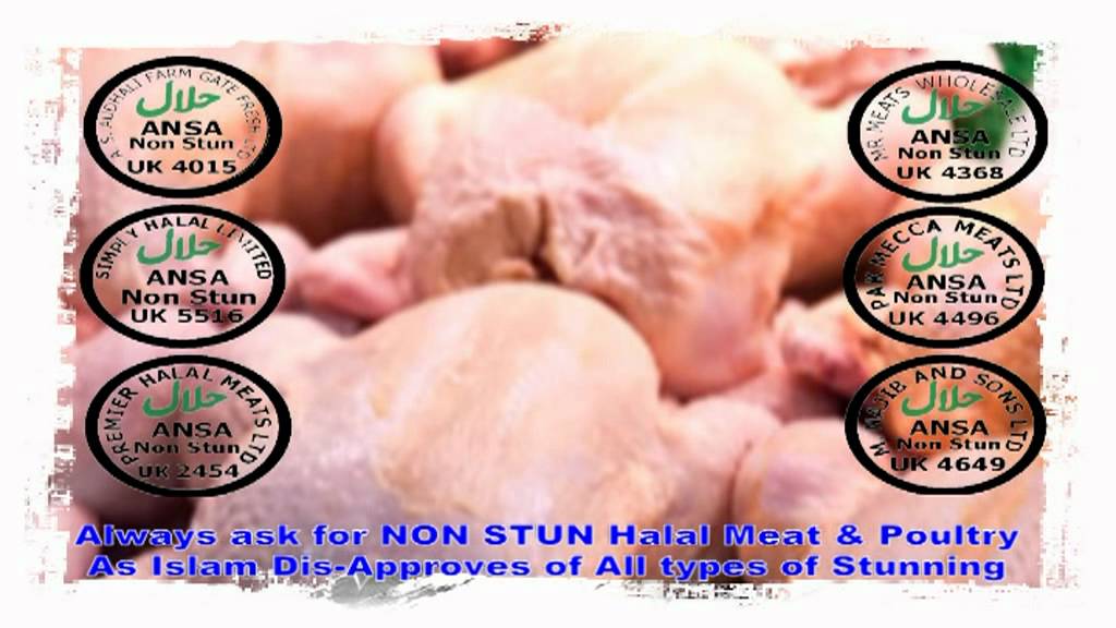 ansa advert 20 sec final - YouTube