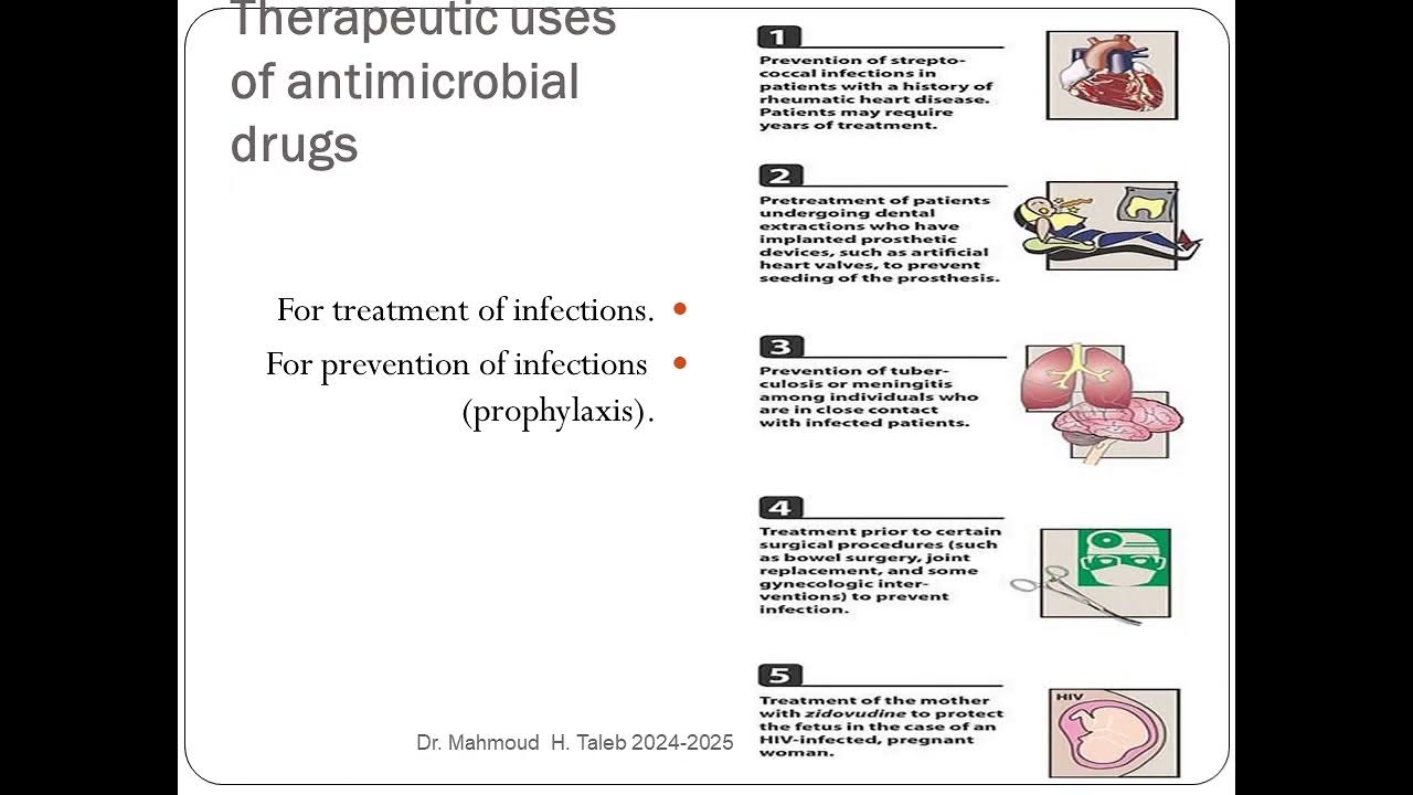 Lecture 7 Introduction - YouTube