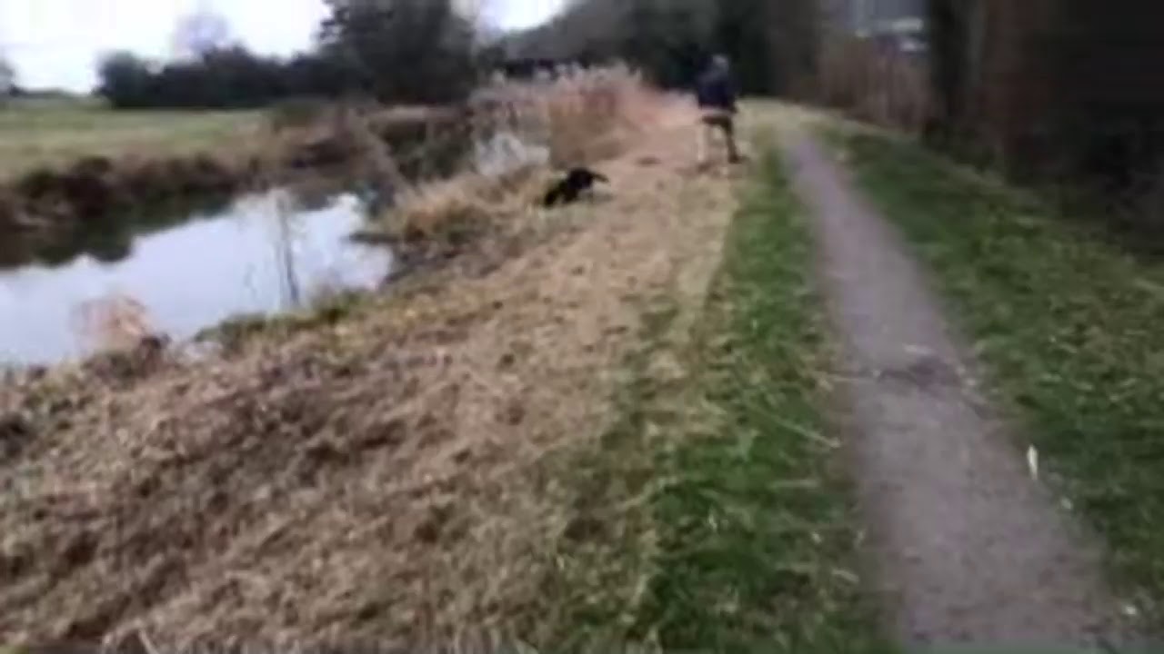 Live At: Dunhampstead & Oddingley Level Crossings (Worcestershire) 05 ...