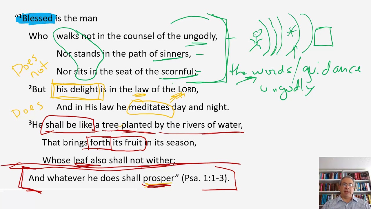 Psalm 1 | Psalm Sense Series - YouTube