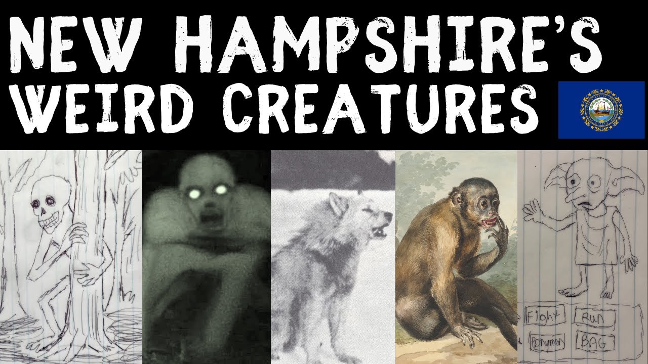 Exploring New Hampshire's Weird Creatures: Myths and Legends of the ...