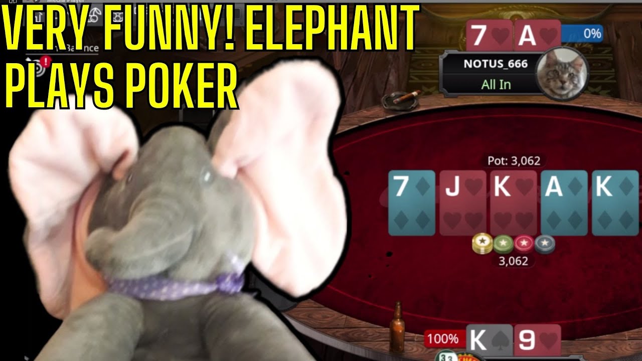$5.00 NL HOLD'EM 6MAX TURBO (ELEPHANT DOMINATES THE TABLE!) - YouTube