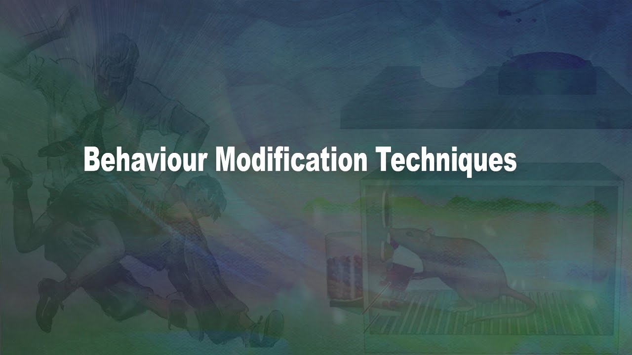 Behaviour Modification Techniques - YouTube