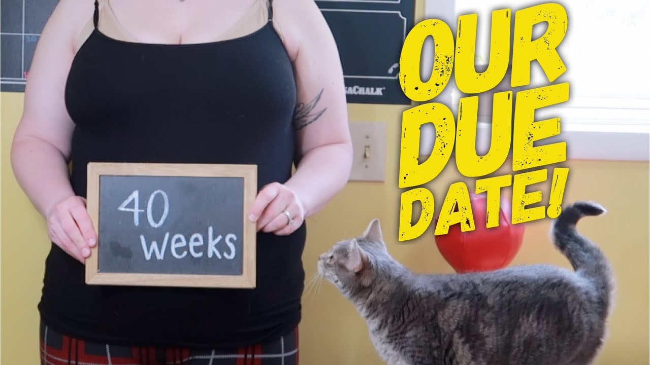 OFFICIALLY OUR DUE DATE! - 40 WEEK PREGNANCY UPDATE (Bumpdate) - YouTube