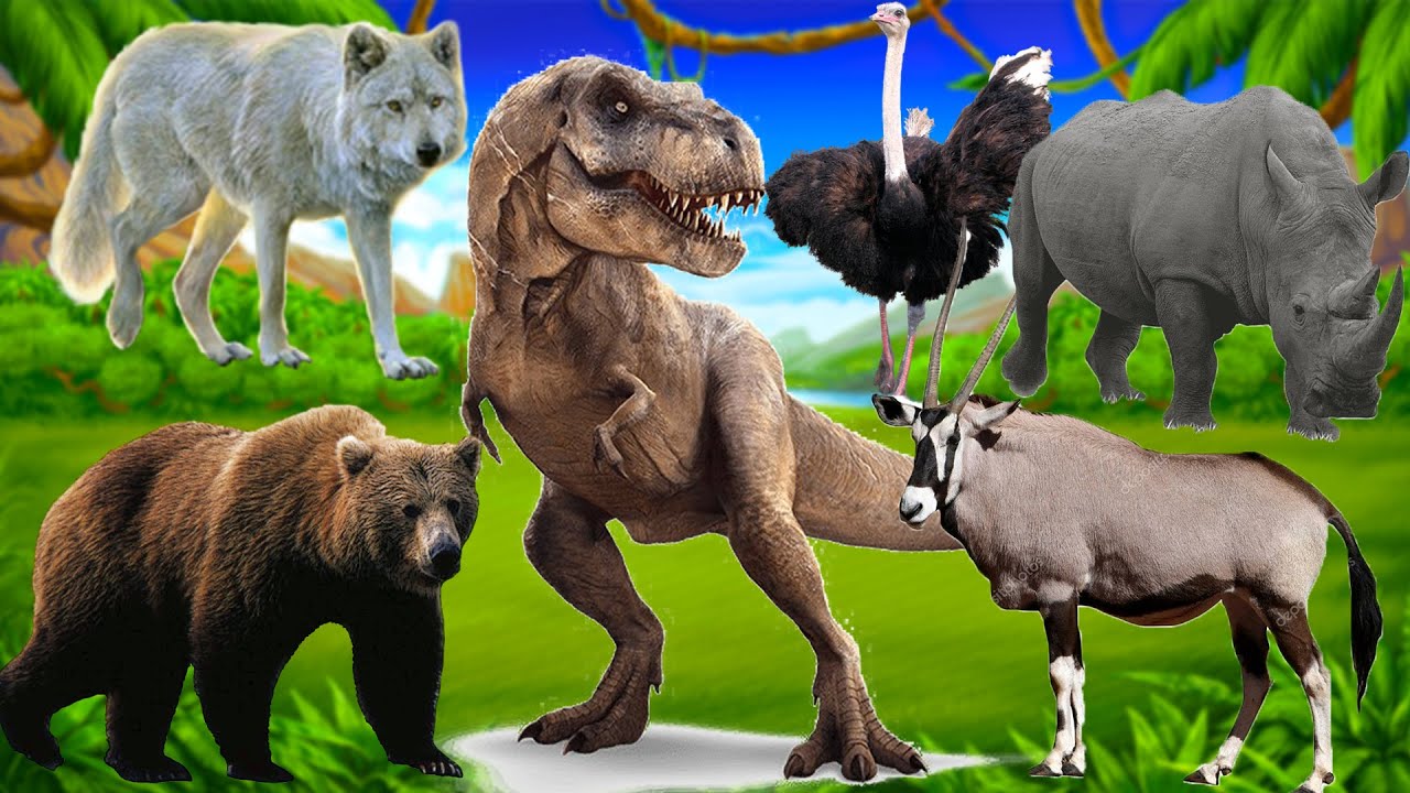 Big dangerous animals: Bear, wolf, dinosaurs, rhinoceros , orangutan ...