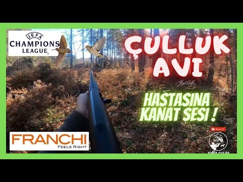 Çulluk Avı - (4K) - 2. Bölüm - Hayalet Avcıları - Caccia alla Beccaccia - Woodcock Hunt