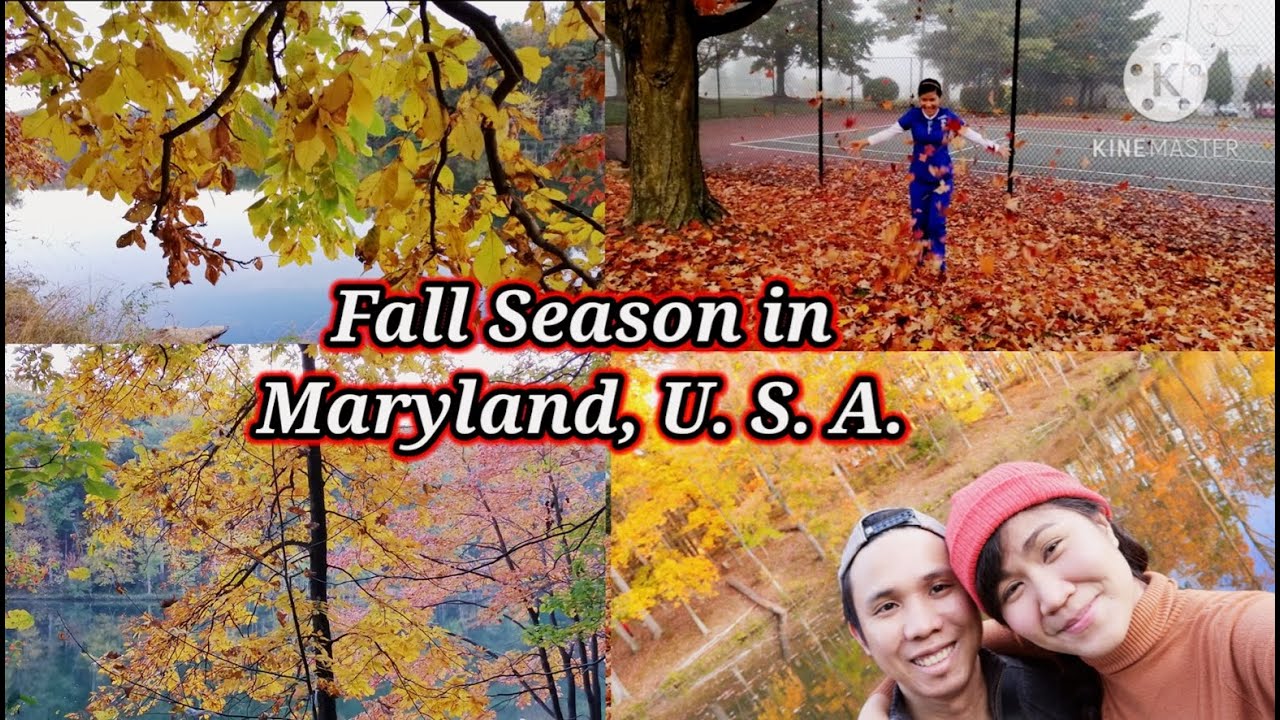 Fall Season in Maryland, U. S. A - YouTube