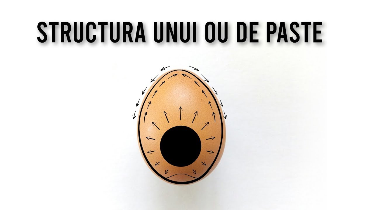 STRUCTURA unui ou de Paste! - YouTube