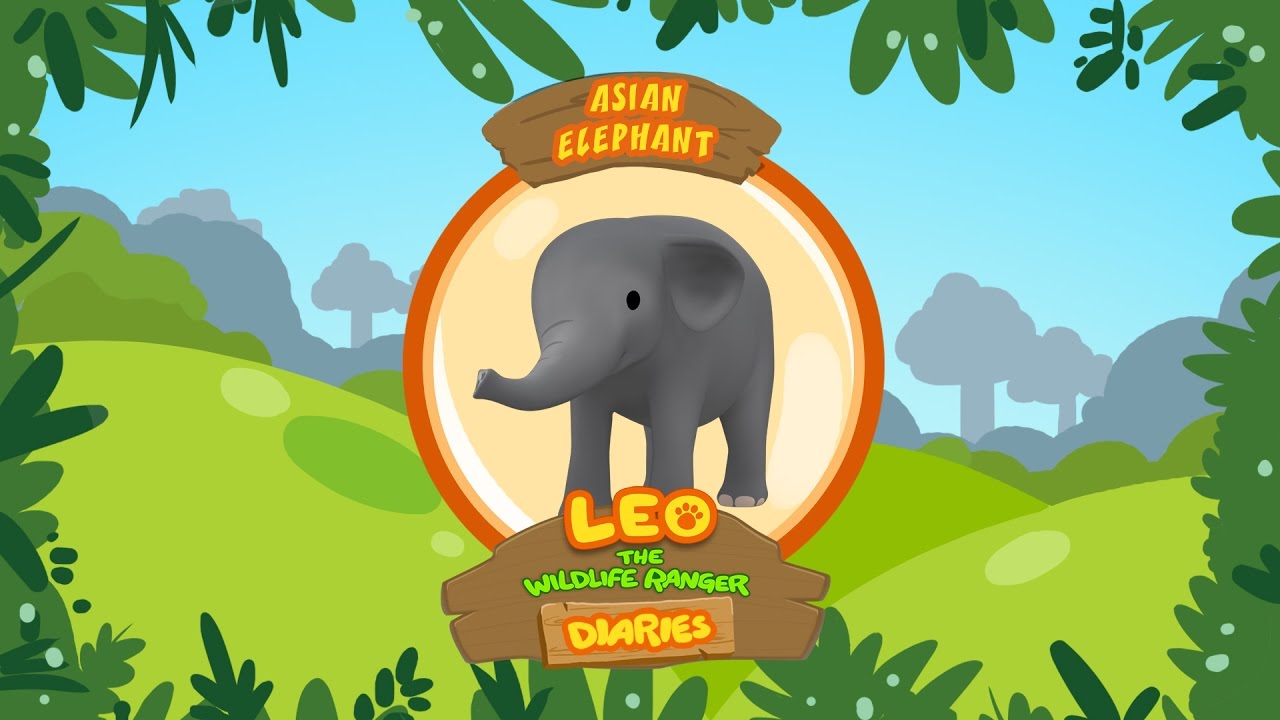 Asian Elephant - Leo The Wildlife Ranger Animal Diaries | Learning for ...
