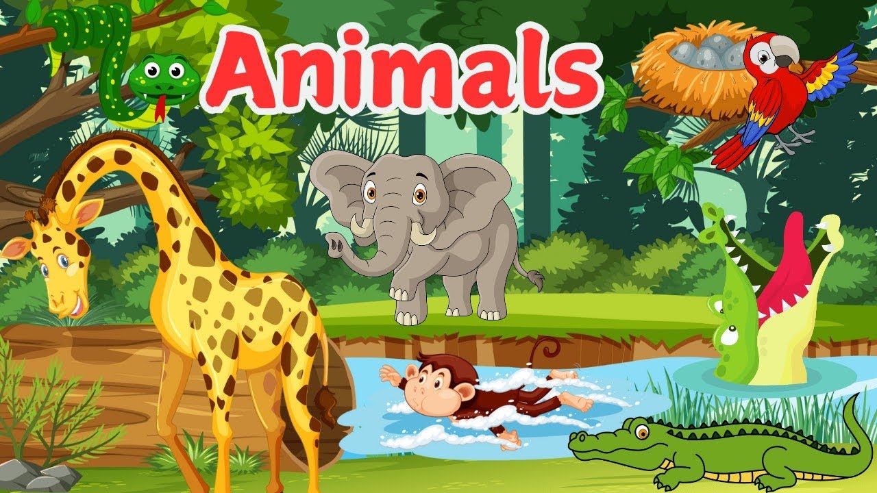 Amazing WILD ANIMALS|Animals video |Animals lover|Forest animals - YouTube