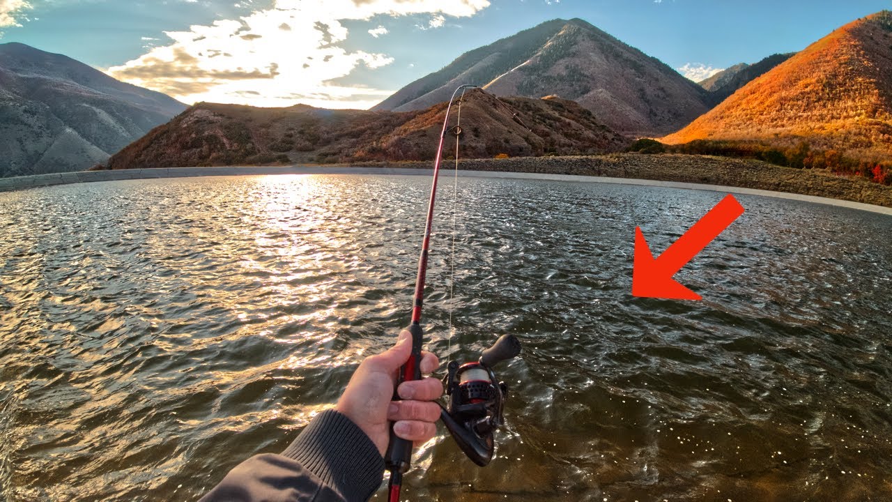 Catching GIANT Rainbow Trout OVER 6 POUNDS in SMALL Pond (CRAZY ...
