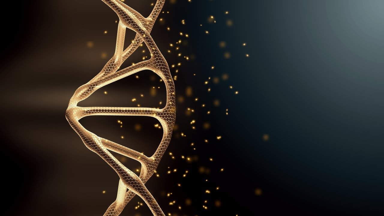 DNA Replication, Damage and Repair | Introductory Biology - YouTube