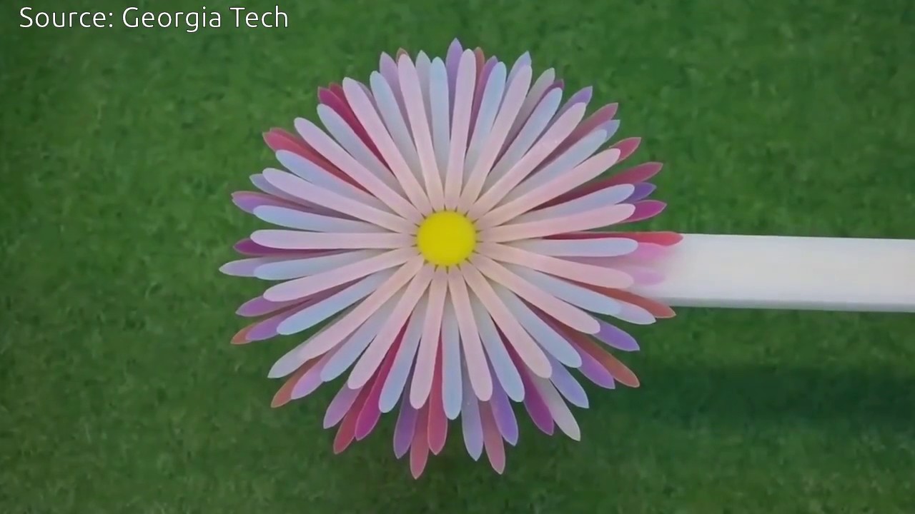 New 3-D Printing Method Creates Shape-Shifting Objects | QPT - YouTube