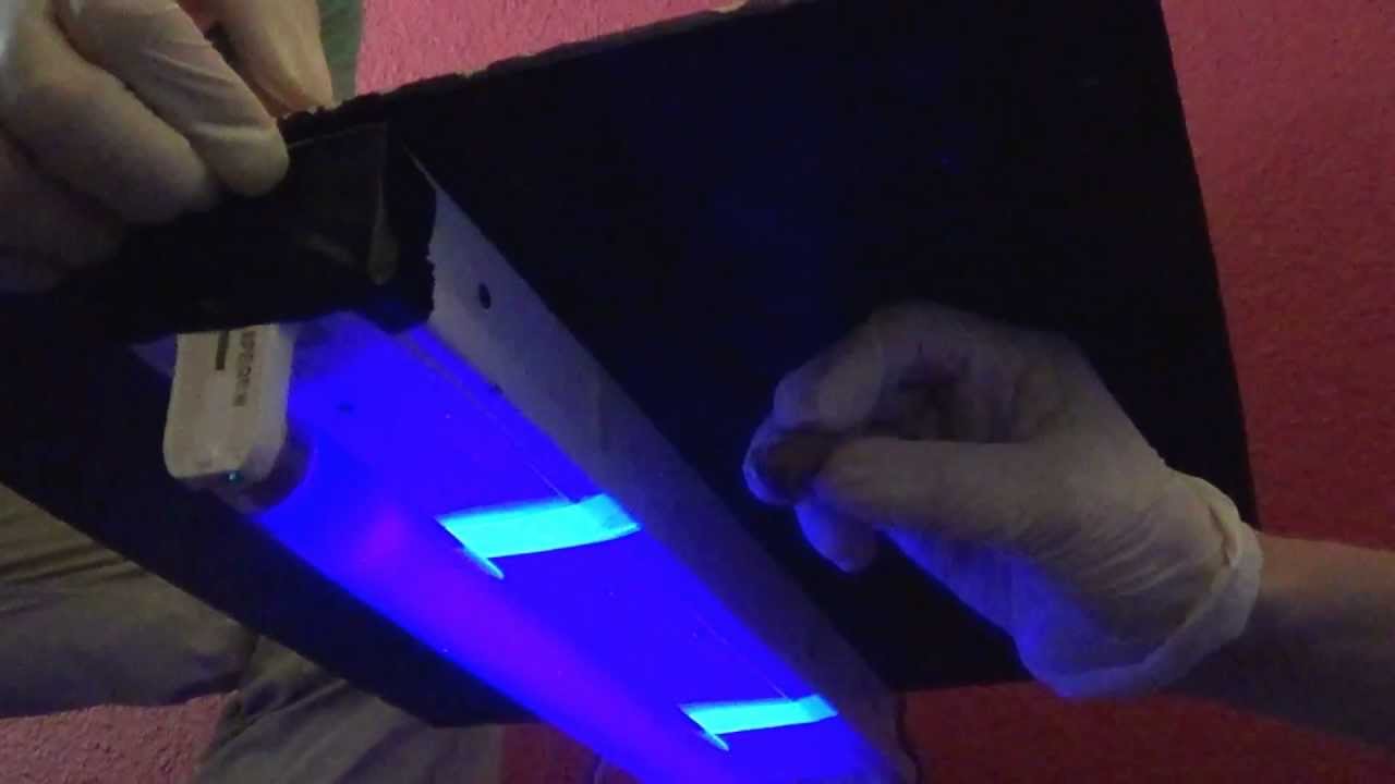 Aflatoxin contaminated peanut from Chiquimula flourescing under UV ...