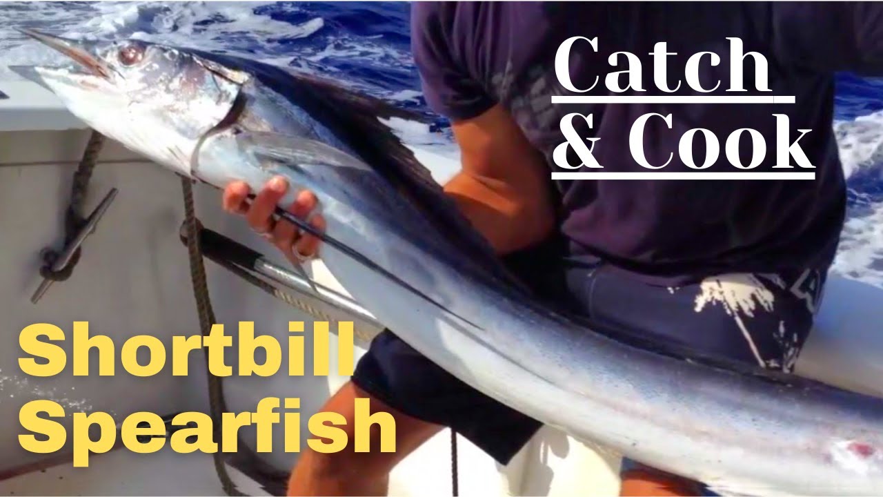 Catch and Cook: Rare Pacific Shortbill Spearfish & Marlin with the Legendary Captain Kenny ...