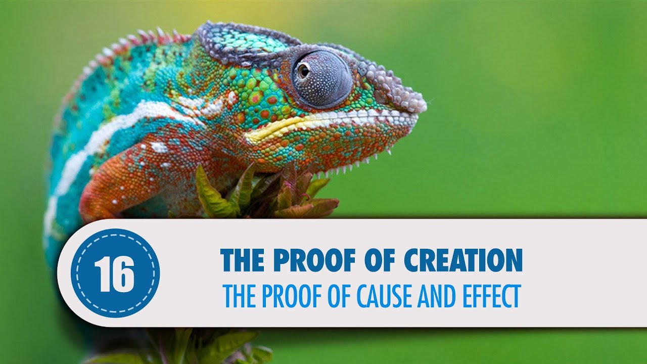 THE PROOF OF CREATION # 16 THE PROOF OF CAUSE AND EFFECT - YouTube