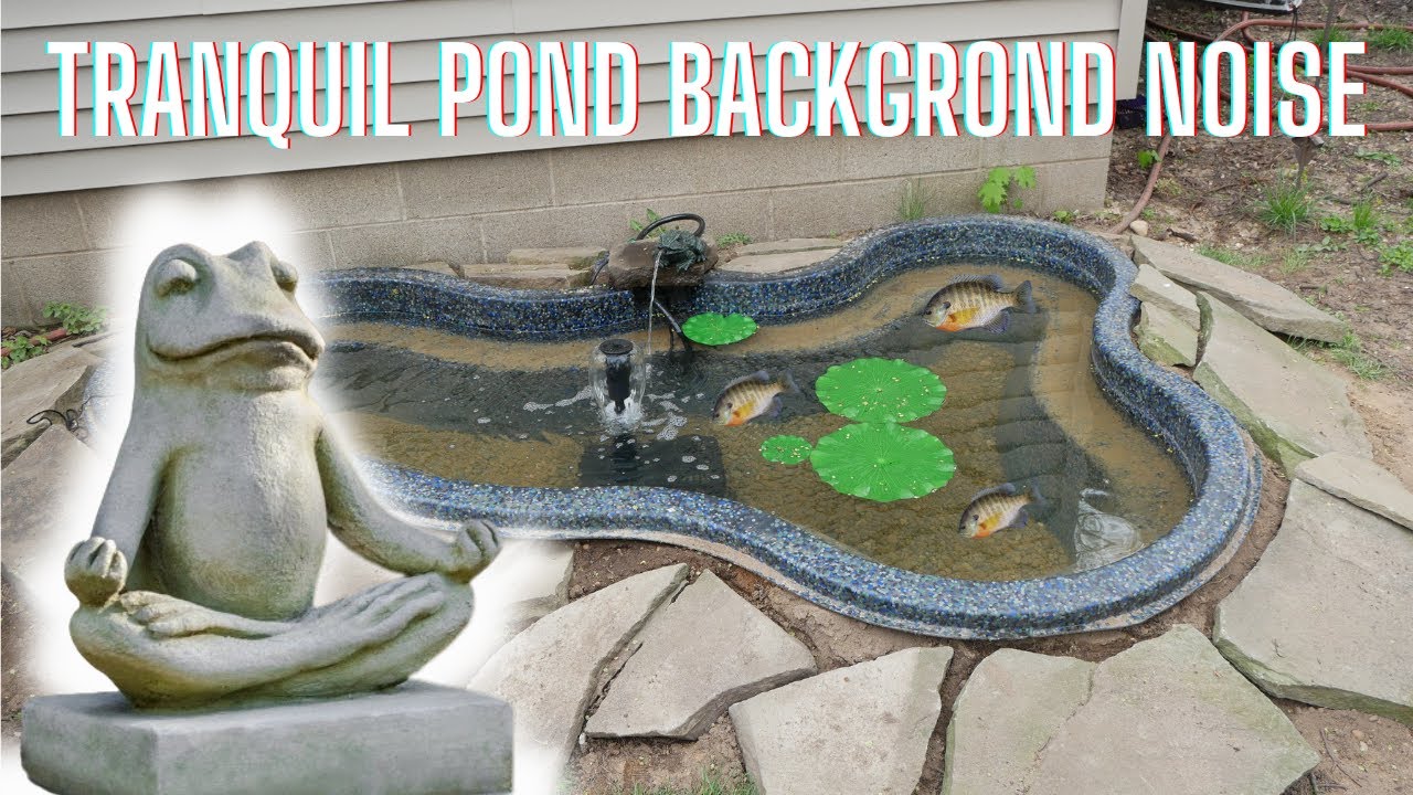 Tranquil pond background noise (7mins) - YouTube