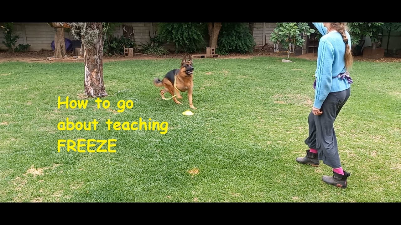 Teaching Freeze - how to go about it - YouTube