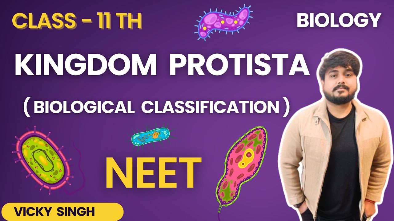 Complete Kingdom Protista NCERT | Biological Classification Class 11th ...