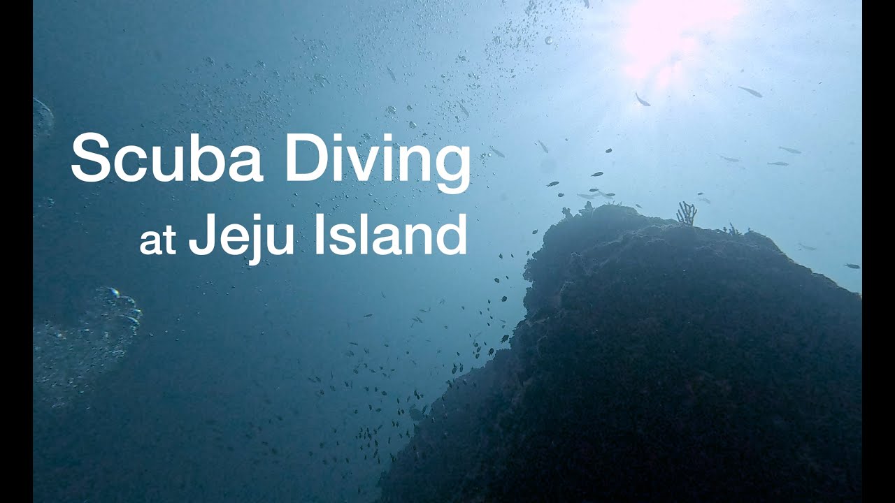 Scuba Diving at Jeju Island (제주도에서 스쿠버다이빙) - YouTube