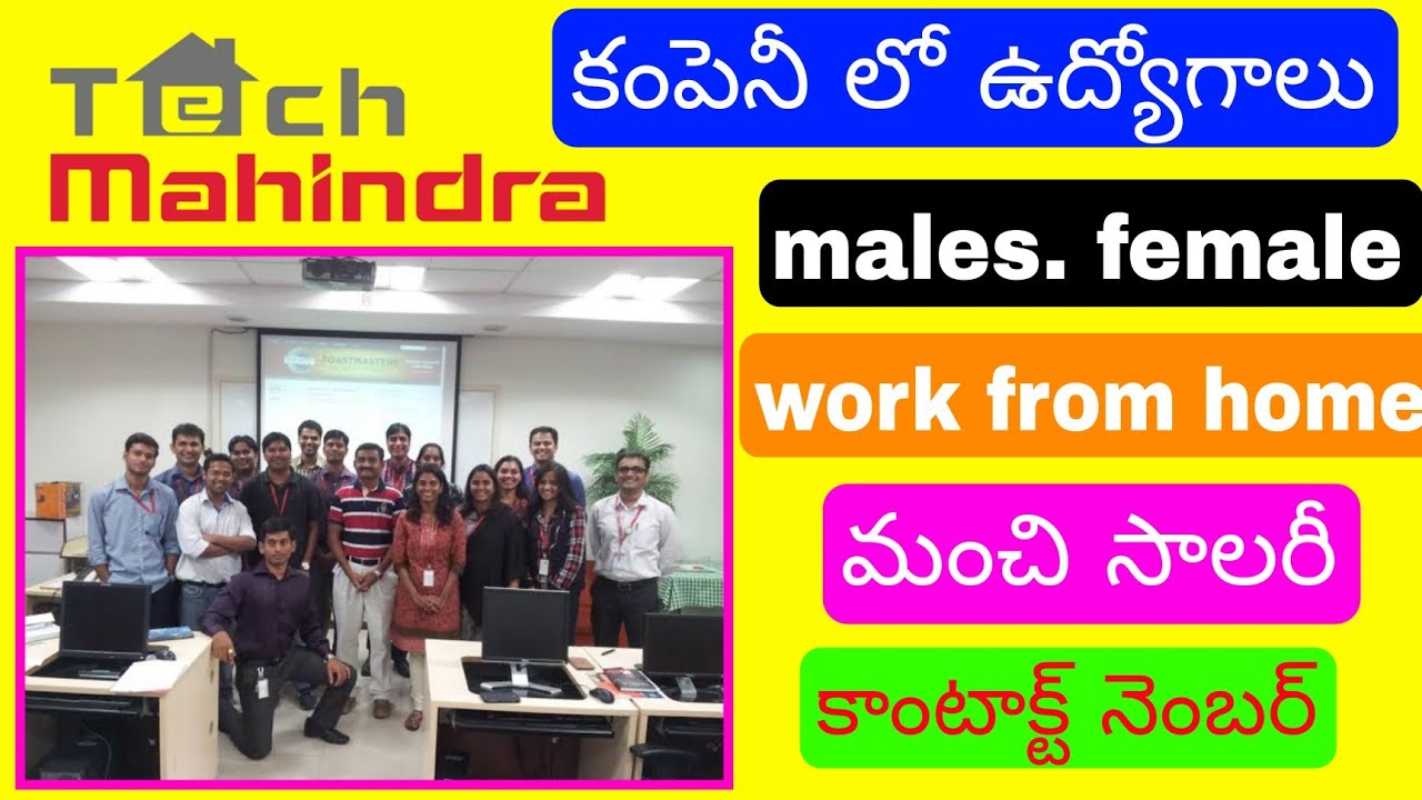 tech mahindra company urgent recruitment for freshers full information ...