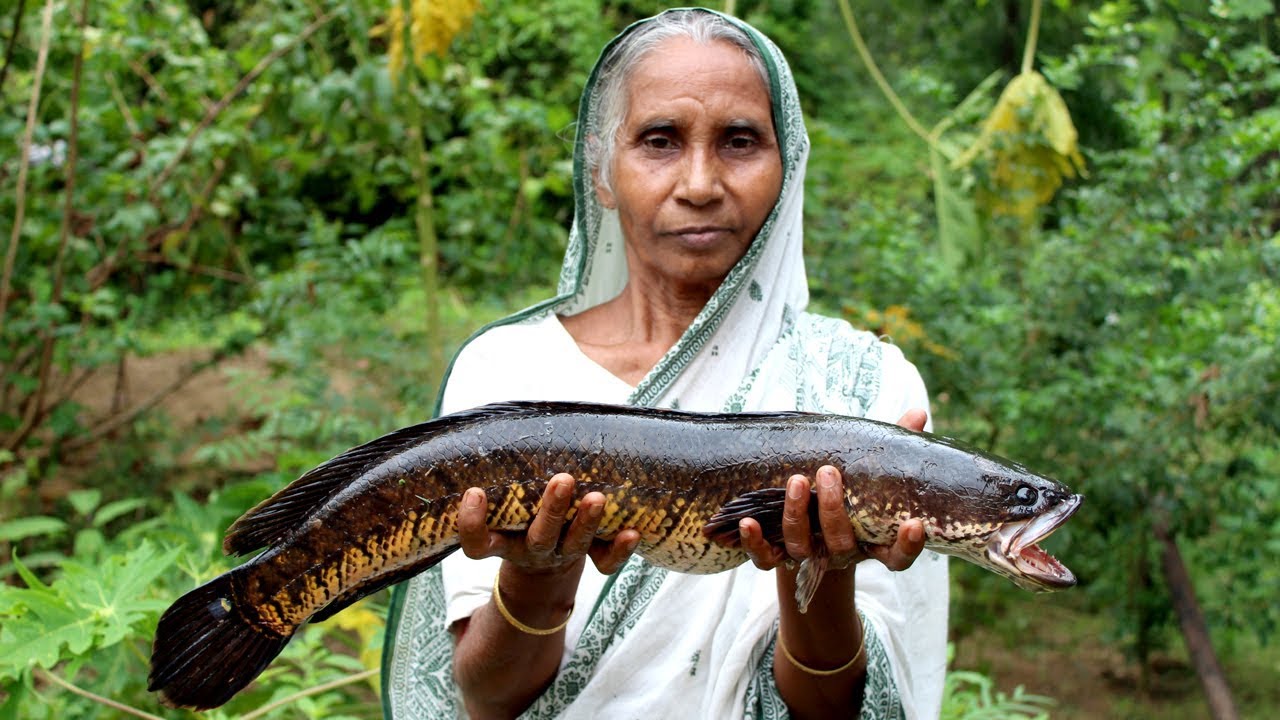 Big Fish Recipe Cooking by our Grandma | Traditional Big Sole Fish ...