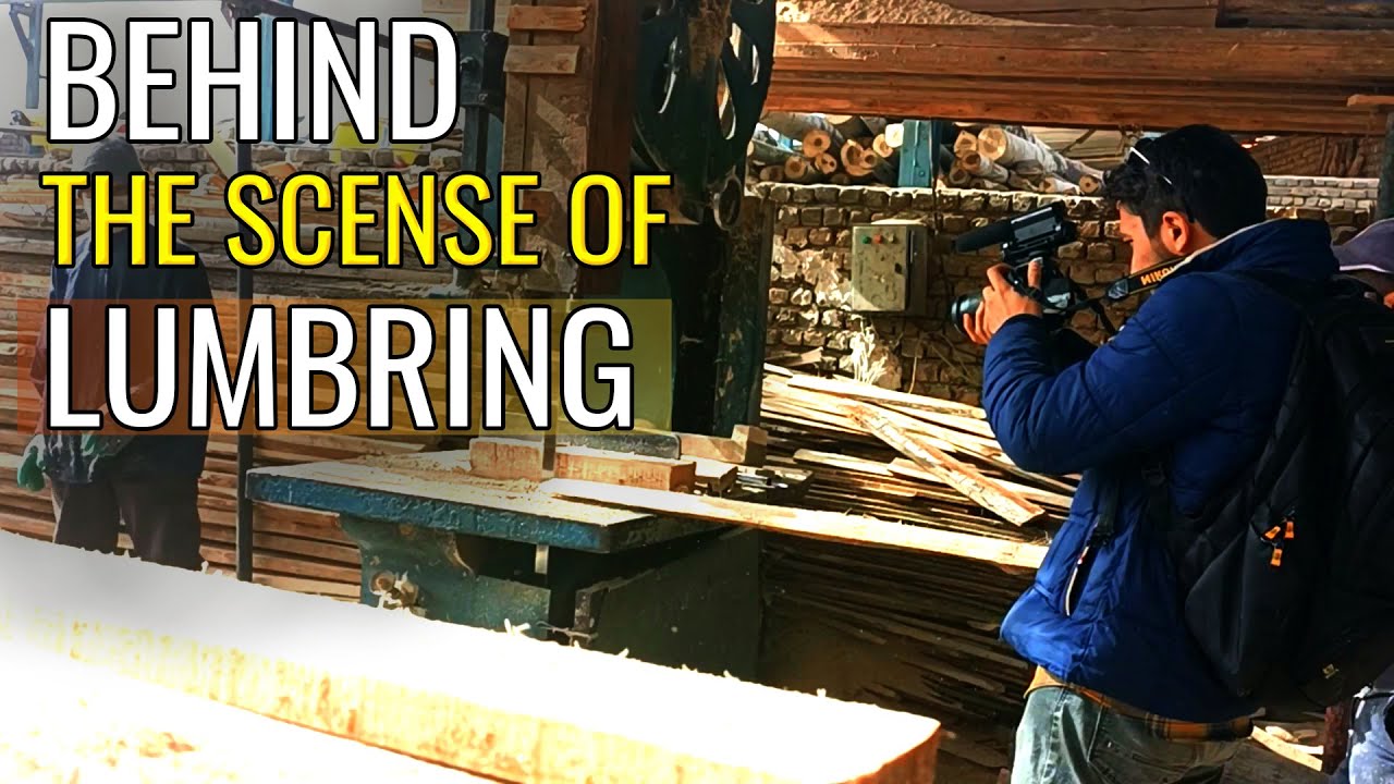 wood working documentary:Turning Giant Tree Trunks into Standard-sized ...