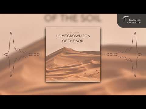 Diba Diba - I L.O.V.E You(prod by Deeflava visualizer