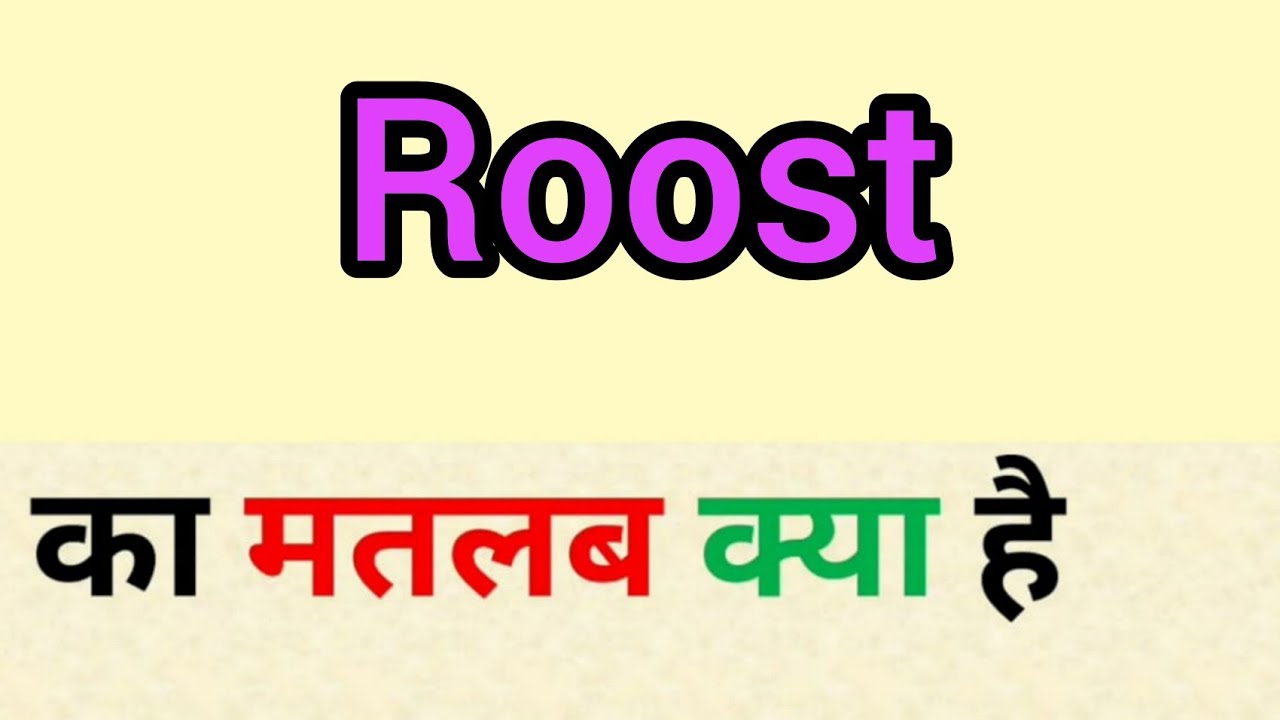 Roost Meaning In Hindi Roost Ka Matlab Kya Hota Hai Word Meaning In roost-meaning-in-hindi-roost-ka-matlab-kya-hota-hai-word-meaning-in