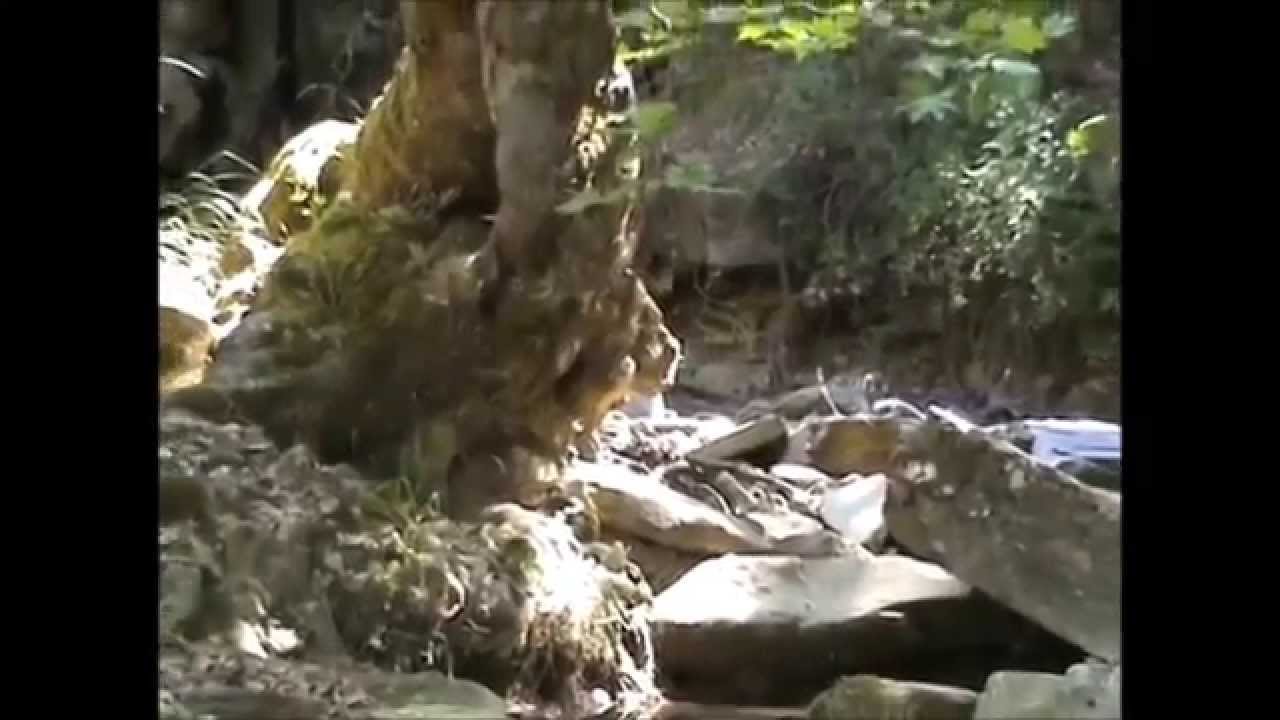 AΡΑΚΥΝΘΟΣ ΜΟΥΣΟΥΡΑ ΑΙΤΩΛΟΑΚΑΡΝΑΝΙΑΣ - YouTube