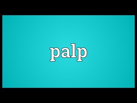 Palp Meaning