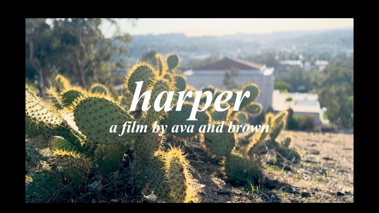 Harper: A Documentary - YouTube