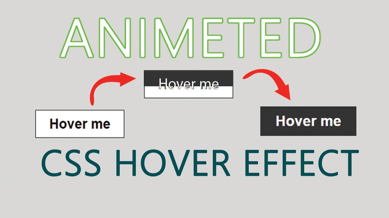 Css Button Hover Animation Effects Using Only Html And Css Mr Top Up 6311