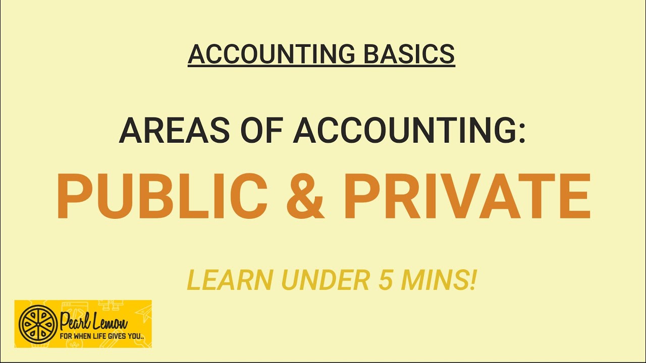 Public and Private Accounting - YouTube