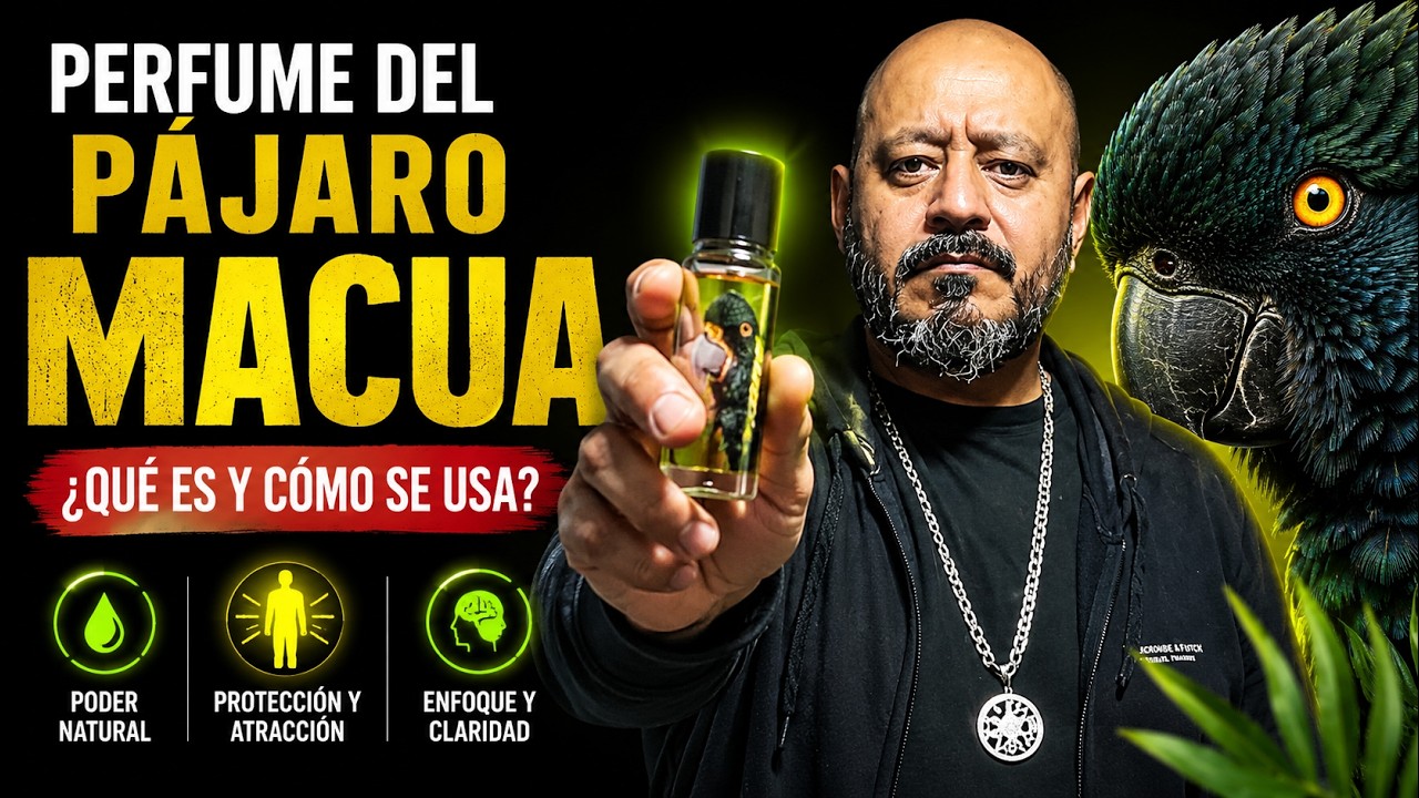 PERFUME DEL PAJARO MACUA – QUE ES Y COMO SE UTILIZA | ESOTERISMO AYUDA ...