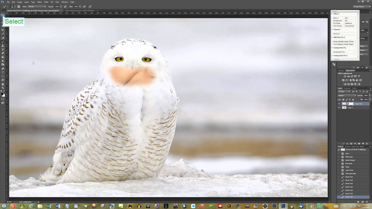 Smiling Snowy Owl - Layers & Masks - YouTube