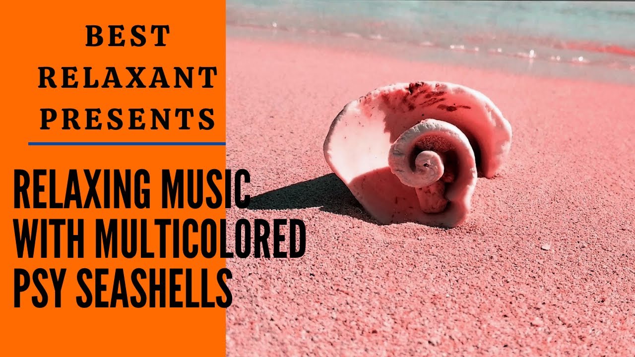 Relaxing Music With Multicolored Seashells With Psy Photos - YouTube