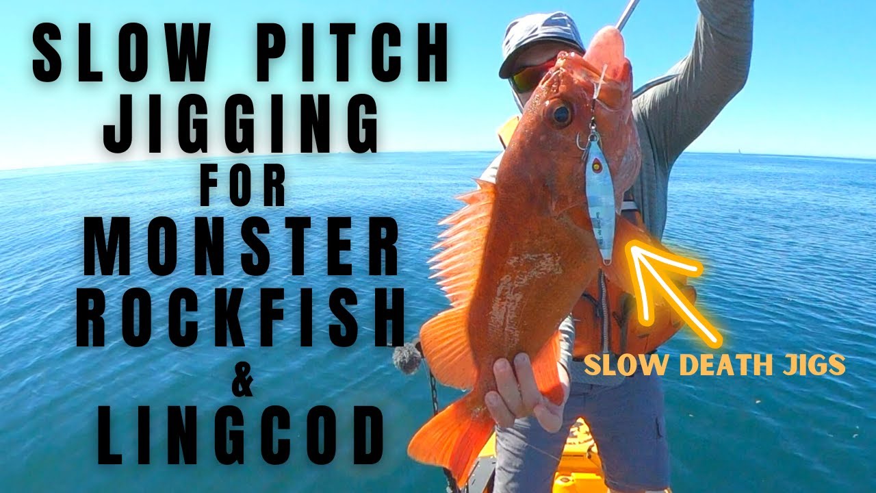 Monster Rockfish & Lingcod in La Jolla | Slow Pitch Jigging with Submission Jigs - YouTube