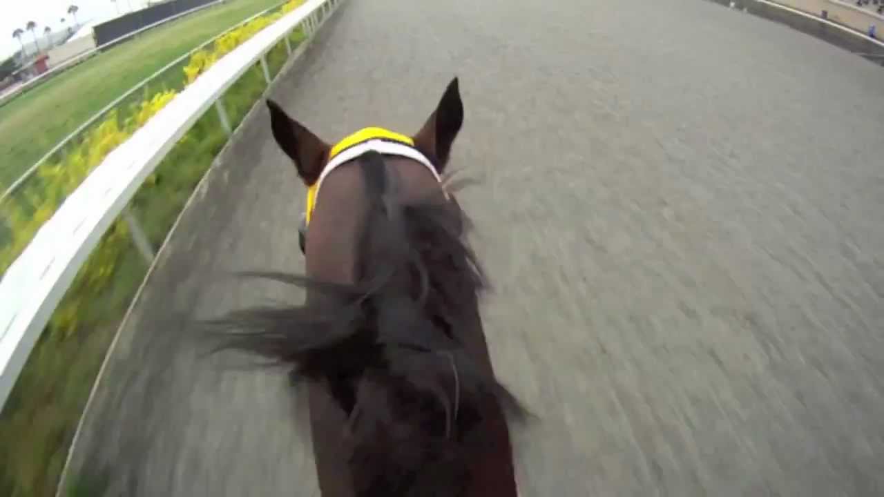 Kinsale King and Carl O'Callaghan Jockey Cam: Ride the Race with a ...