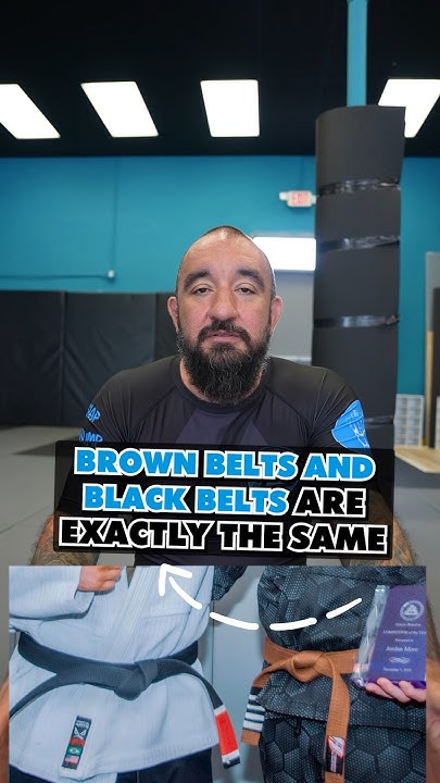 Brown belts and black belts are exactly the same in Jiu Jitsu! # ...