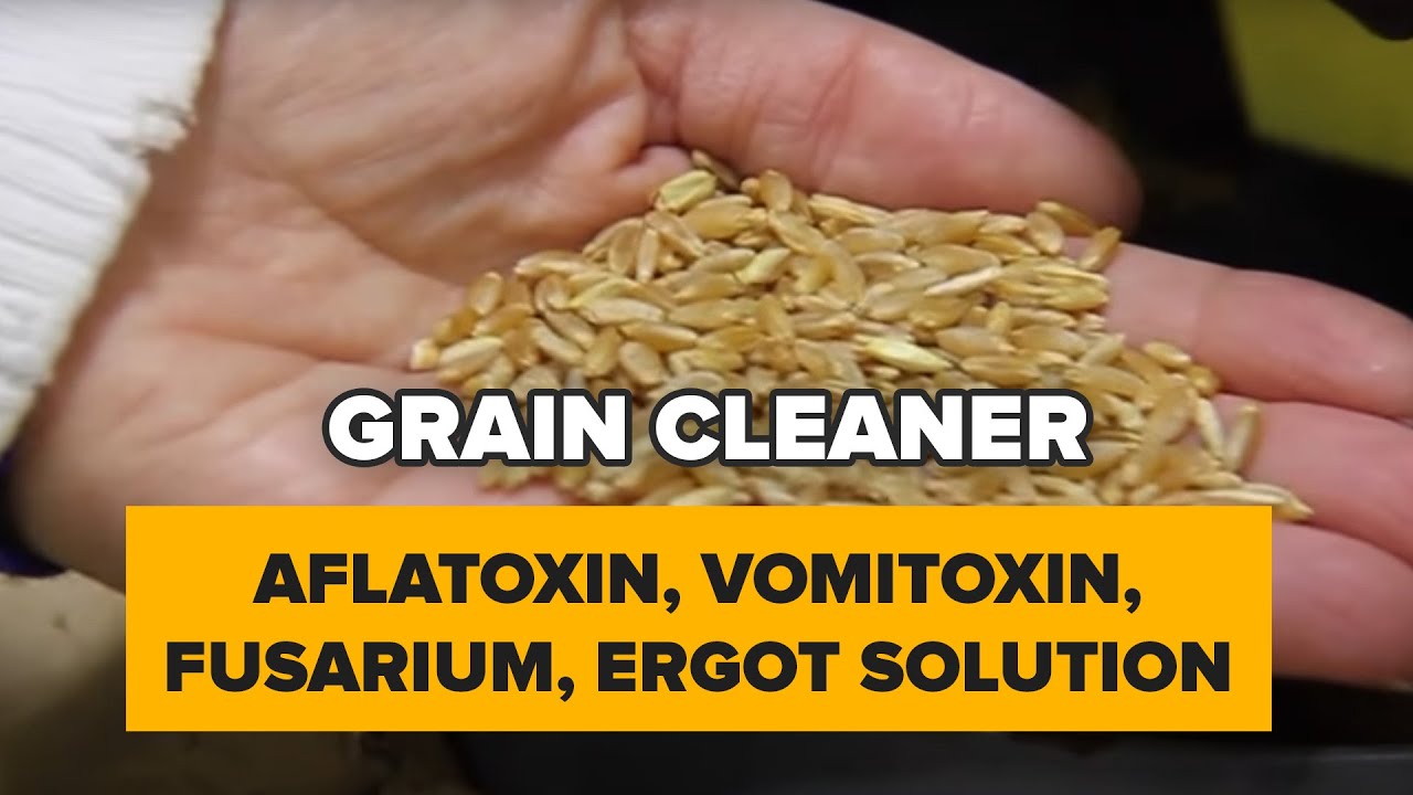 Aflatoxin, vomitoxin, Fusarium, ERGOT solution. Modern farming ...
