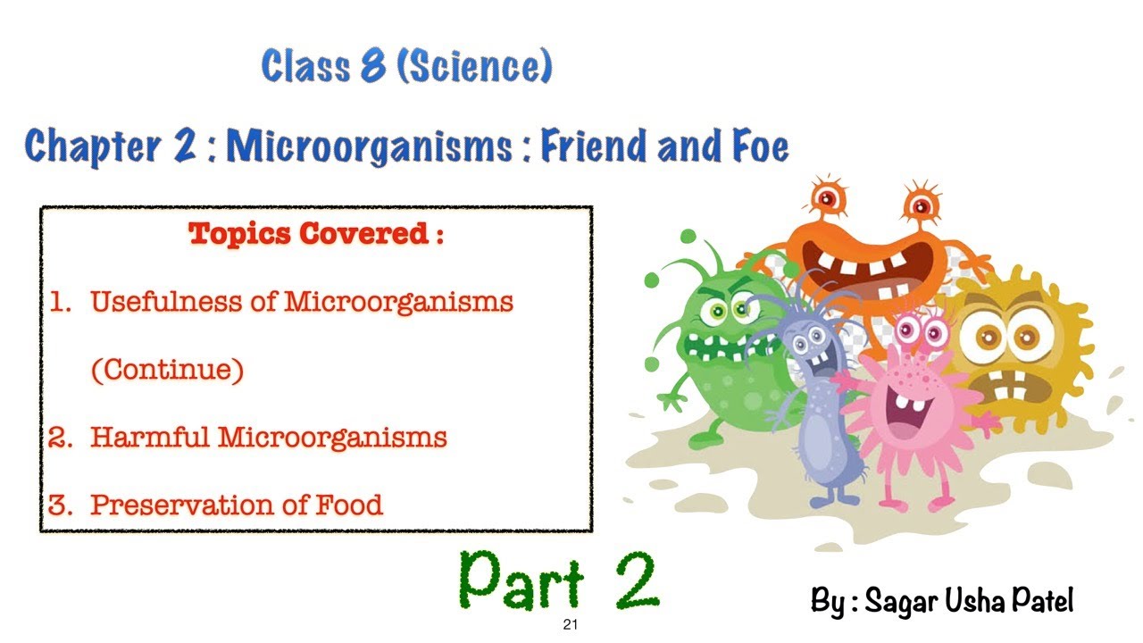 CBSE (NCERT) - Class 8 - Science - Microorganisms : Friend and Foe ...